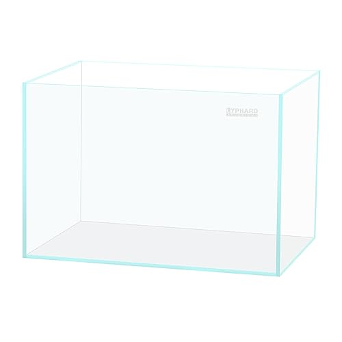 10 best rimless fish tanks for a stunning 20-gallon aquatic display ...
