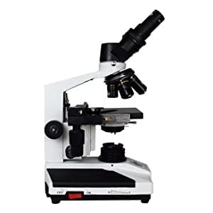Buy SSD Binocular Compund Microscope with Seprate Fine Focusing Nobe ...