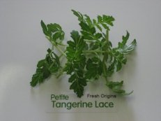 Amazon.com: Petite Greens - Tangerine Lace - 4 x 8 oz : Grocery ...