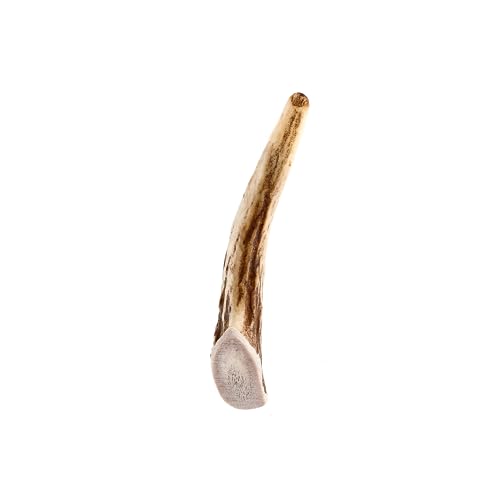 Find The Best Deer Antlers For Dogs Reviews & Comparison - Katynel