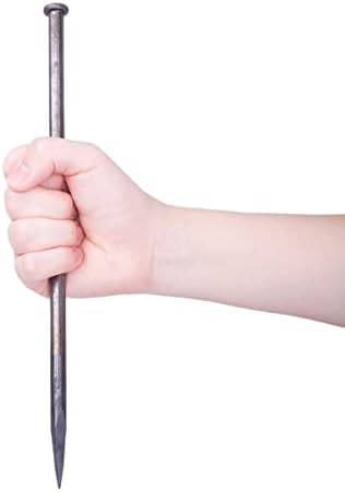 Amazon.com : WOWCASE 12 Inch Metal Edging Spikes,25 Pcs Heavy Duty ...