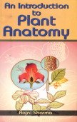 Buy An Introduction to Plant Anatomy Book Online at Low Prices in India ...