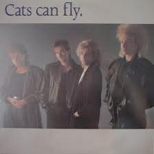 Amazon.com: Cats can fly.: CDs & Vinyl