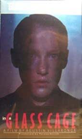 Amazon.com: In A Glass Cage : Agustin Villaronga, Günter Meisner, David ...