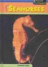 Amazon.com: Seahorses (Sea Creatures): 9781403409638: Laskey, Elizabeth ...