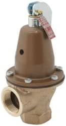 Amazon.com: 1-1/4" 174A Relief Valve w/Flood Sensor Connectivity (30 ...
