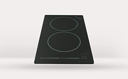 Kenyon Bridge Induction Cooktop, 2 Burners, Portrait Cooktop, Smart ...