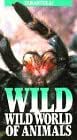 Amazon.com: Tarantula [VHS] : Wild World of Animal: Películas y TV