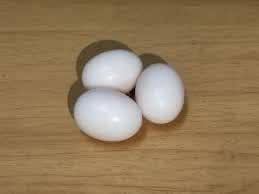 Pigeon Dummy Egg,Fake False Dummy Pigeon Eggs, Plastic Egg for Birds ...