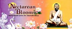 Amazon.in: Buy Nectarean Blooms Daily Quote from Sri Ramakrishna ...
