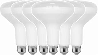 Home Depot 75-Watt Equivalent BR40 CEC Dimmable LED Light Bulb 2700K ...