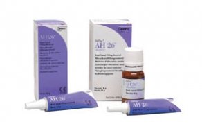 Amazon.com: Dentsply 60621101 Ah 26, Silver Free, 8g Powder, 10g Resin ...