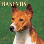 Dog Breeds Basenjis Calendar : Browntrout Publishers: Amazon.es: Libros