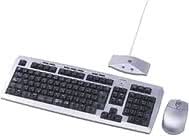 SANWA Supply SKB-WL05SETPU Wireless Keyboard Set: Keyboards: Amazon.com.au