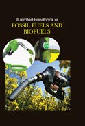 Illustrated Handbook Of Fossil Fuels And Biofuels : Amazon.in: Books