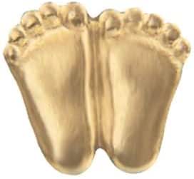Amazon.com: Precious Feet, Gold-Colored, Abortion Vulnurable Card ...