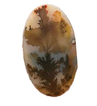 Natural DENDRITIC AGATE OVAL Cabochon/Scenic Agate Stone/Shajar Agate ...