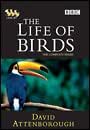 Life Of Birds: Complete Series: 3dvd: Amazon.es: Películas y TV
