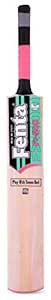 Fenta Cricket Bat F500 : Amazon.in: Sports, Fitness & Outdoors