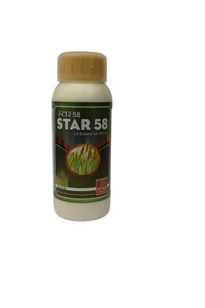 STAR CHEMICALS STAR 58.… (500 ml) : Amazon.in: Toys & Games