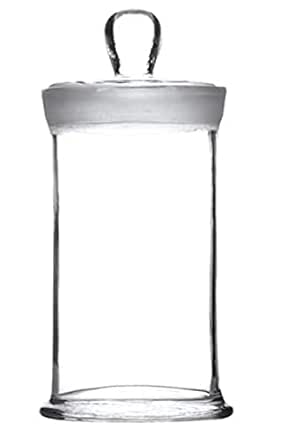 SPECIMEN JAR WITH KNOBBED STOPPER. ONE UNIT.20 X 15 CM : Amazon.in ...