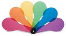 Amazon.com: Color Paddles - Set of 3 : Everything Else
