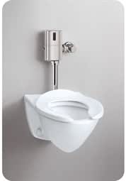 Amazon.com: Toto Commercial Flushometer High Efficiency Toilet - 1.28 ...
