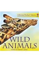 Buy Wild Animals (Usborne Pocket Nature S.) Book Online at Low Prices ...