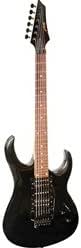 Amazon.com: ARBOR Electric Guitar : Musical Instruments