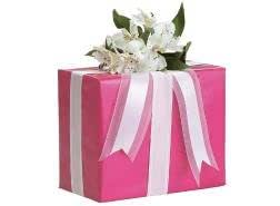 Tupperware Gift Pack : Amazon.in: Home & Kitchen