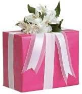 Tupperware Gift Pack : Amazon.com.au: Kitchen & Dining