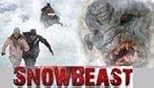 Amazon.com: Snow Beast : John Schneider, Jason London, Danielle ...