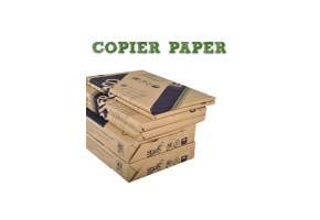 Ethical Paper 80 GSM Copier Paper Pack Of 500 (Ethical Paper 002_A4 ...