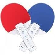 Amazon.com: Sakar Twin Ping Pong Paddles for Nintendo Wii - Blue/Red ...