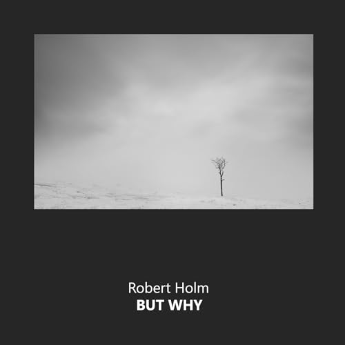 Amazon.com: But Why : Robert Holm: Digital Music
