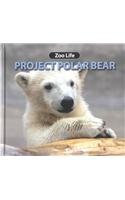Project Polar Bear (Zoo Life): Nault, Jennifer: 9781590360149: Amazon ...