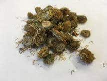 Amazon.com : Inula Flower｜Xuan Fu Hua｜旋覆花｜Inula japonica Thunb ...