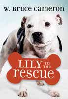 Lily to the Rescue: W. Bruce Cameron: 9781338360318: Amazon.com: Books