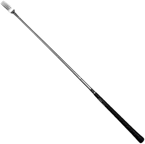 Amazon.com: Repurposed Golf Club Smores Stick, Smores Skewers for Fire ...