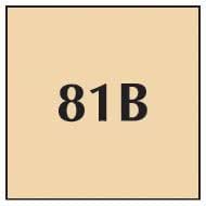 Amazon.com : Quantaray by Cokin P027 Warm 81B Pro Series Filter : Camera Lens Polarizing Filters ...