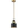 Possini Euro Design Courtney Burnished Brass Mini Pendant Lighting 6 1/ ...