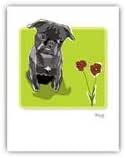 Amazon.com : Paper Russells Grrreen Single Notecards -Pug - Black ...