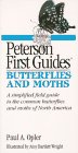 Amazon.com: Peterson First Guide to Butterflies and Moths (Peterson ...