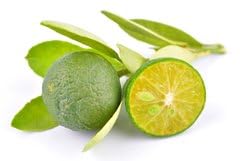 Calamansi Calamonding Calamondin Calamandarin Golden Lime Kalamunding ...