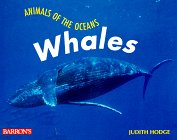 Whales (Animals of the Oceans): Hodge, Judith: 9780764102615: Amazon ...