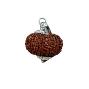Meraki Gems 21 Mukhi Rudraksha(Twentyone Face) नेचुरल इक्कीस मुखी ...
