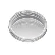BD 351006 Falcon Polystyrene Sterile Bacteriological Petri Dish with ...