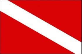 Amazon.com : Annin Skin Diver Flags, 20 x 30in skin diver flag nyl-glo ...