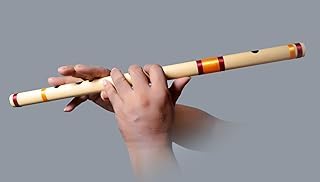 Villy Shop flute musical instrument made specifically for beginners in ...