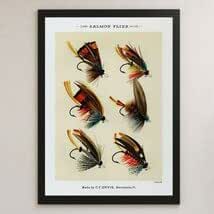 Amazon.co.jp: 毛針 ルアー 図鑑 イラスト アート 光沢 ポスター A3 ビンテージ レトロ インテリア 毛鉤 フライフィッシング 釣り サーモン トラウト : おもちゃ